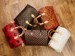 Louis Vuitton Speedy Bag Guide | Yoogi'sClosetBlog